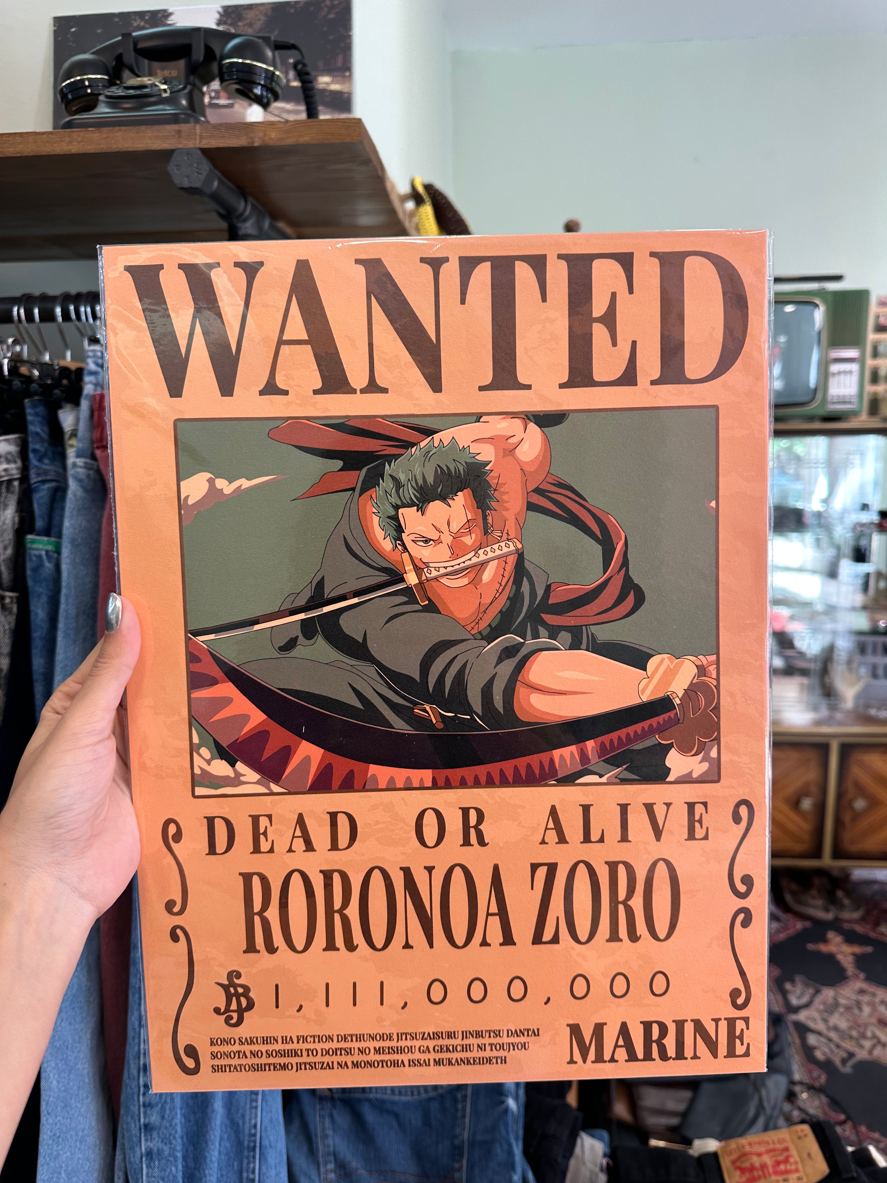 One piece - Roronoa Zoro poster – Handpicked Cherries